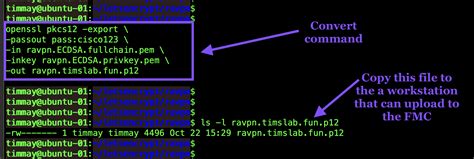 Using Let S Encrypt Certificates With Cisco Firepower Cisco Community