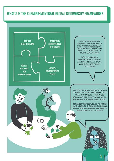 The Global Biodiversity Framework A Youth4nature Perspective