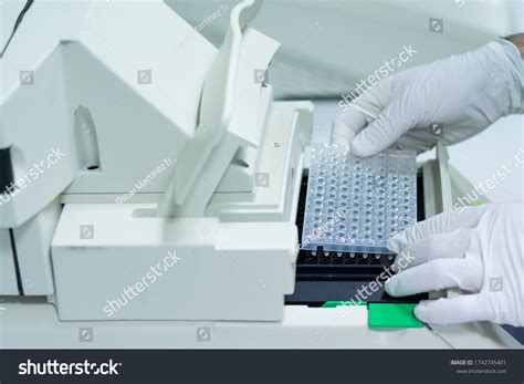 13 Qpcr Technology 图片、库存照片和矢量图 Shutterstock
