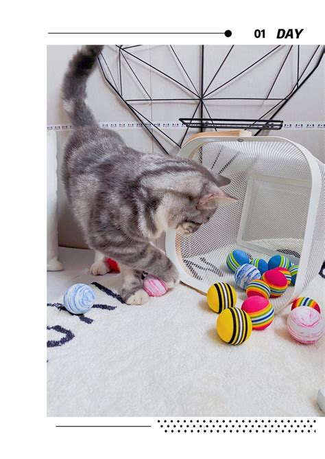 EVA彩虹球球猫咪啃咬玩具球逗猫球宠物彩虹球EVA球微弹力幼猫玩具 阿里巴巴