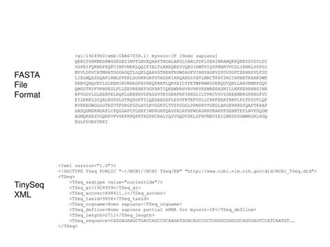 Ppt Bioinformatics And Data Warehousing Introduction To