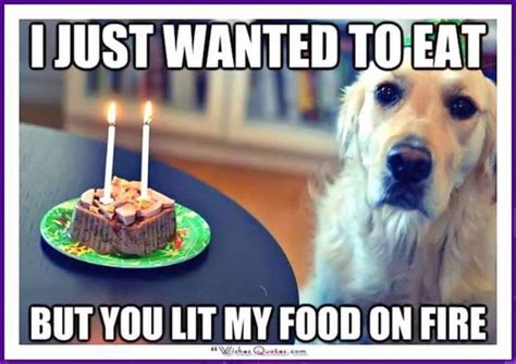 Over 50 Funny Birthday Memes That Are Sure To Make You Laugh Funny