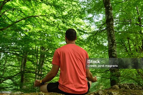 숲 한가운데있는 돌에서 야외에서 요가를하는 젊은이 연꽃 포즈 자연과의 연결 Pranayama에 대한 스톡 사진 및 기타 이미지 Pranayama 남자 남자들만