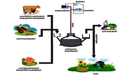 ბიოგაზი საოჯახო მეურნეობებში Agronews Ge