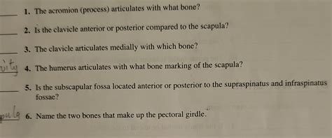Solved The Acromion Process ﻿articulates With What Boneis