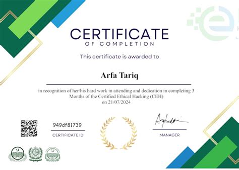 Teach You Penetration Testing And Kali Linux By Jimsaley Fiverr