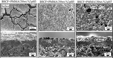 The Surface And Cross Sectional Microstructures Of The Membranes