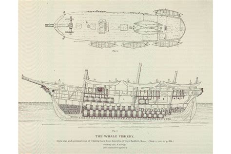 Marshall Scheetz Archives Entoten