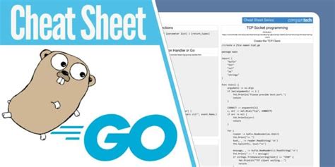 Go Network Programming Cheat Sheet Downloadable  And Pdf