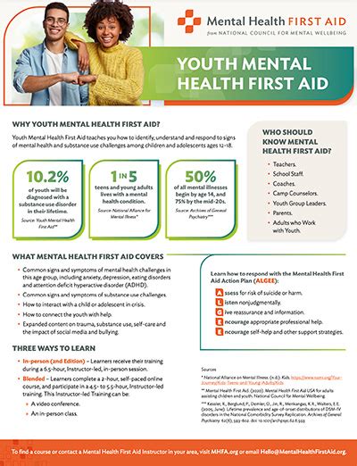 Youth Mental Health First Aid Training Rise