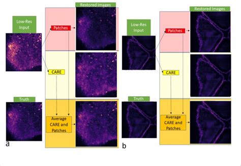 Representative Performance Of Deep Learning Methods And The Average Of Download Scientific