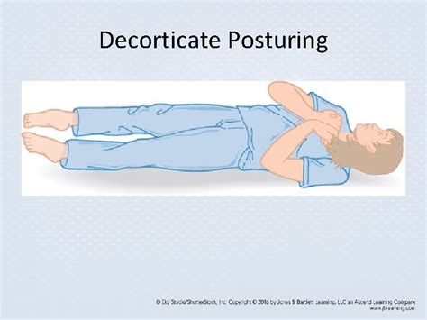 Chapter 1 History And Physical Examination Objectives 1