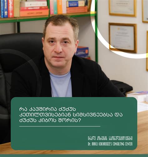 ირაკლი კოხრეიძის საკონსულტაციო ცენტრი
