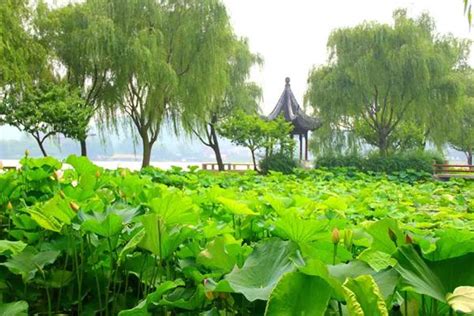今年夏天为什么这么冷2022 旅泊网