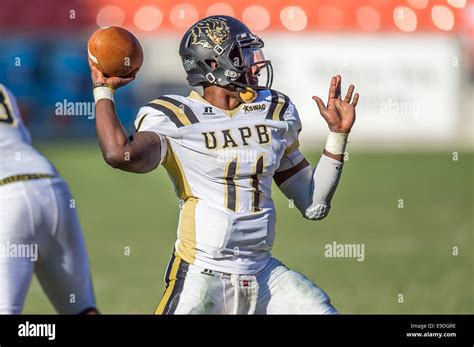 October 25 2014 Houston Texas Usa Arkansas Pine Bluff Golden