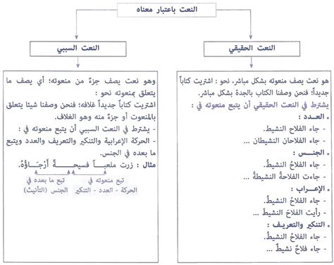 الدرس اللغوي 17 النعت Alloschool