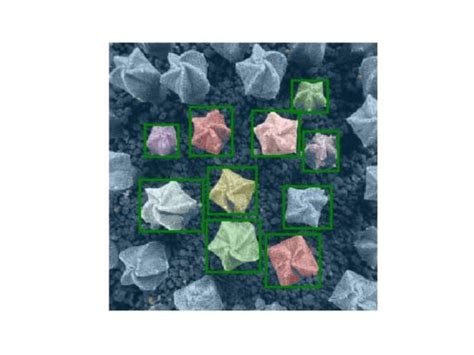 [scikit Image] 53 画像ラベリング：閾値処理と形態学的操作を用いた対象物の識別 サボテンパイソン