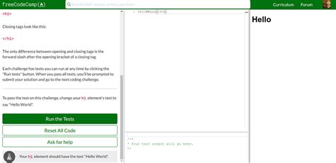 Problems With Interface Freecodecamp Support The Freecodecamp Forum