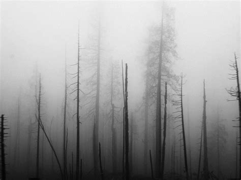 How To Find And Remove Dead Code Linearb Blog