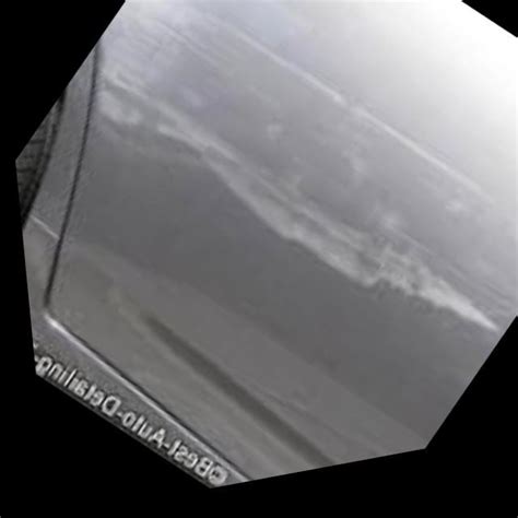 Detection Object Detection Model V1 Cardd By Cardd