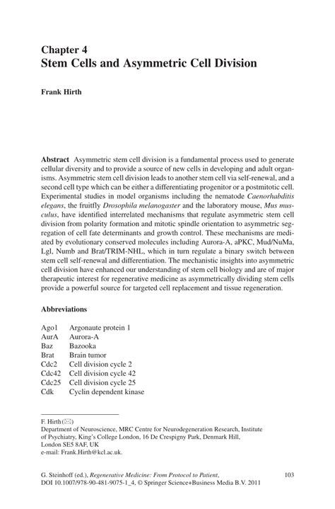Pdf Stem Cells And Asymmetric Cell Division