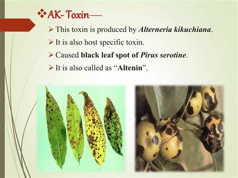 Role Of Microbial Toxins In Plant Pathogenesis Ppt