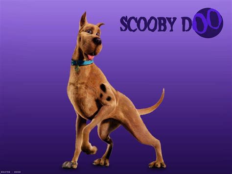Scooby Doo Backgrounds Wallpaper Cave