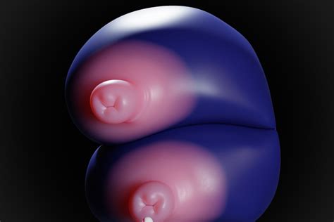 Rule 34 2021 32 3d 3d Artwork Alicorn Anthro Big Breasts Black