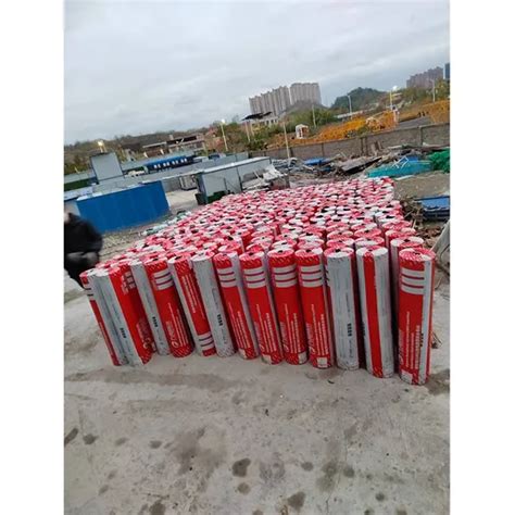 Superior Elastomer Membrane For Reliable Roof Waterproofing Solutions