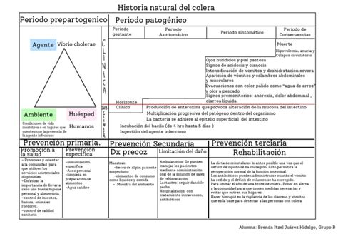Historia Natural Del Cólera Pdf Diarrea Cólera