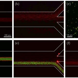 Diffusiophoretic Separation Of Nanoemulsion By The Use Of Download Scientific Diagram