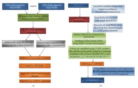 A Flow Chart For Computational Approaches In Identifying Plant