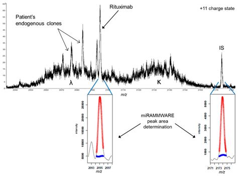 Cas 174722 31 7 Rituximab Boc Sciences