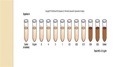 AST Methods Practical No Pptx Infectious Diseases Diseases And Conditions