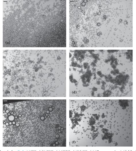 Triethylammonium Bicarbonate Semantic Scholar