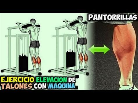 Ejercicio Para Pantorrillas Elevacion De Talones Con Maquina