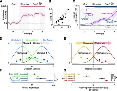 Choice Representations Behave Like A Decision Variable A Prediction