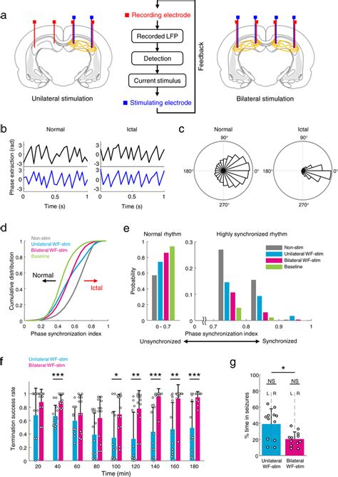 closed loop unilateral and bilateral control of temporal lobe