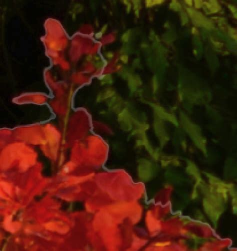 Object Selection Tool Adobe Community 14250577