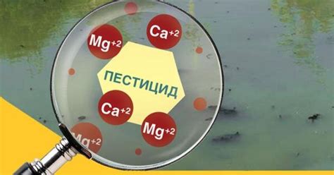 Стабільна та ефективна робота пестицидів АГРОТЕКА — Адюванти та Біостимулятори
