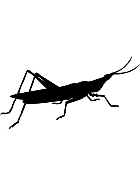Free Printable Grasshopper Stencils And Templates