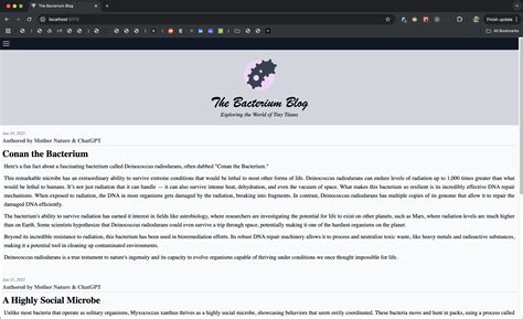 Mobile First Design With Tailwind Css Dev Community