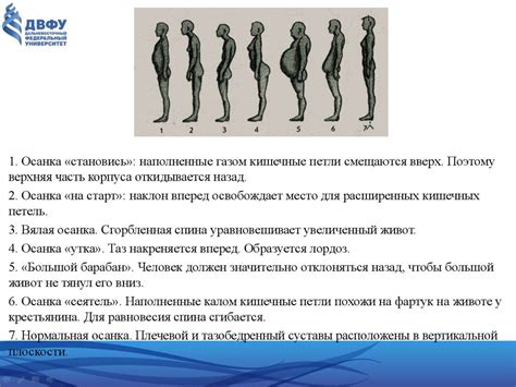 Введение в анатомию человека Содержание и задачи анатомии презентация онлайн