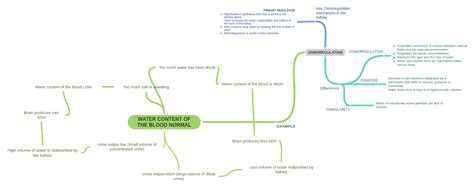 Osmoregulation Coggle Diagram