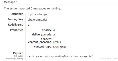 Springboot 使用 Rabbitmqspringboot Rabbitmq Csdn博客