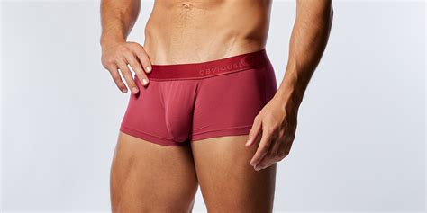 What Is Cheeky Underwear Obviously Apparel