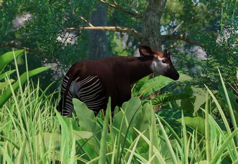 Okapi Planet Zoo Wiki Fandom
