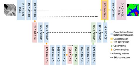 Table 1 From U Segnet Fully Convolutional Neural Network Based Automated Brain Tissue
