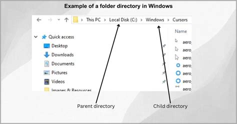Ultimate Guide To Directories And Folder Structures Best Practices Included