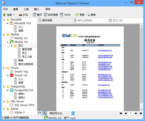 Navicat Report Viewer功能简介 Navicat中文网站